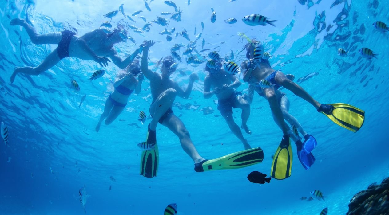 Centros de Buceo en Los Roques - Arrecife Diver's - Escuelas de Buceo ...